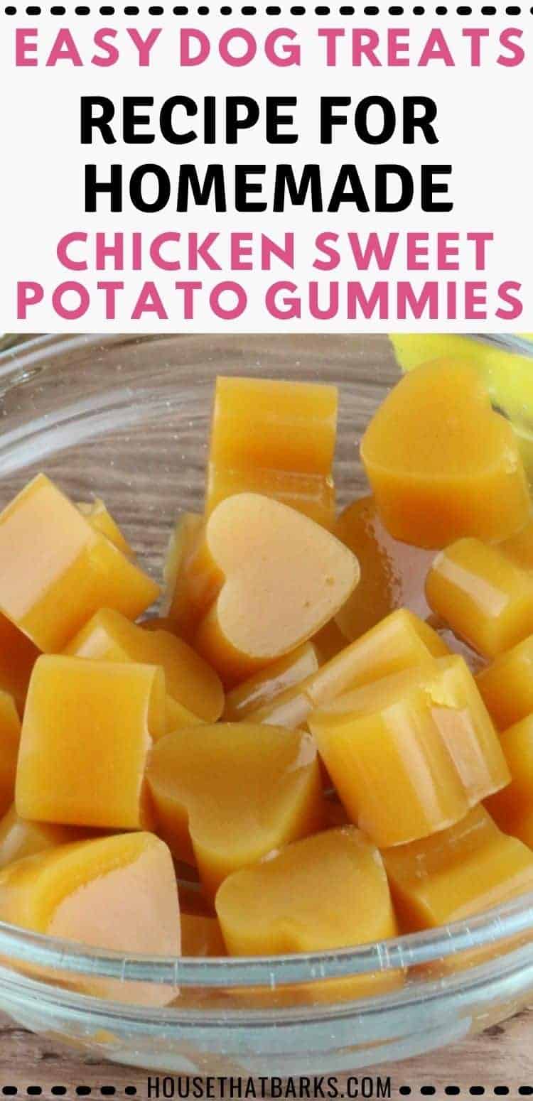 Easy Chicken Gummies for Dogs Recipe - House that Barks