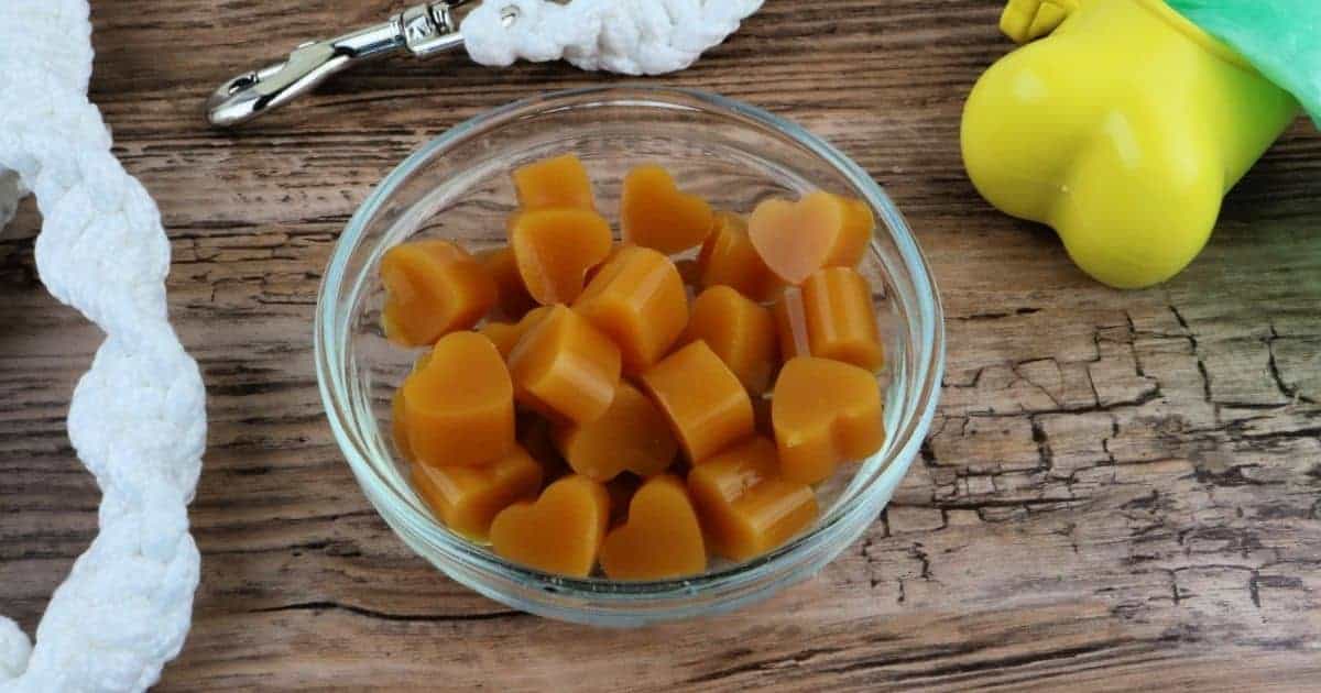 Easy Chicken Gummies For Dogs Recipe | House That Barks