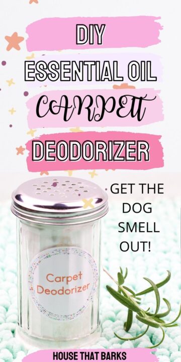 DIY Essential Oil Carpet Deodorizer for Dogs - House that Barks