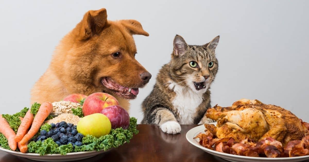 The Ultimate List Of Safe Food For Dogs | House That Barks