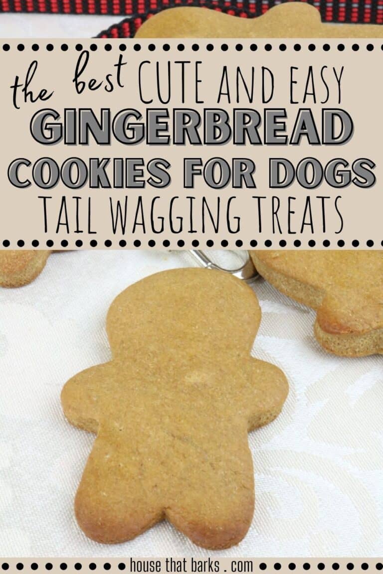 Easy Gingerbread Cookies for Dogs - House that Barks