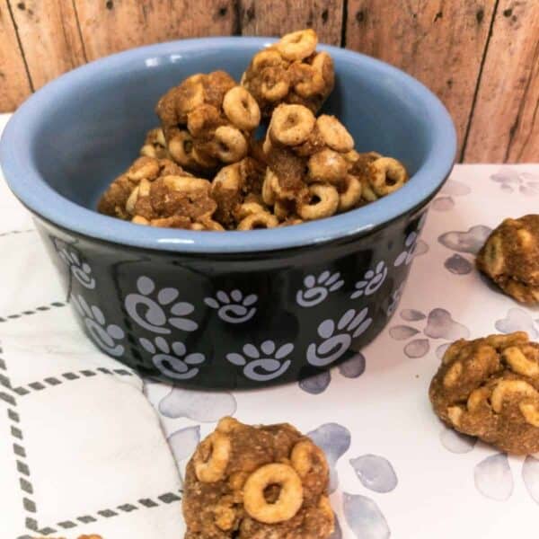Easy 20 Minute Peanut Butter and Cheerios Dog Treats - House that Barks