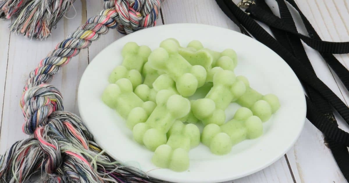 Cucumber Yogurt Frozen Puppy Dog Treats | House That Barks