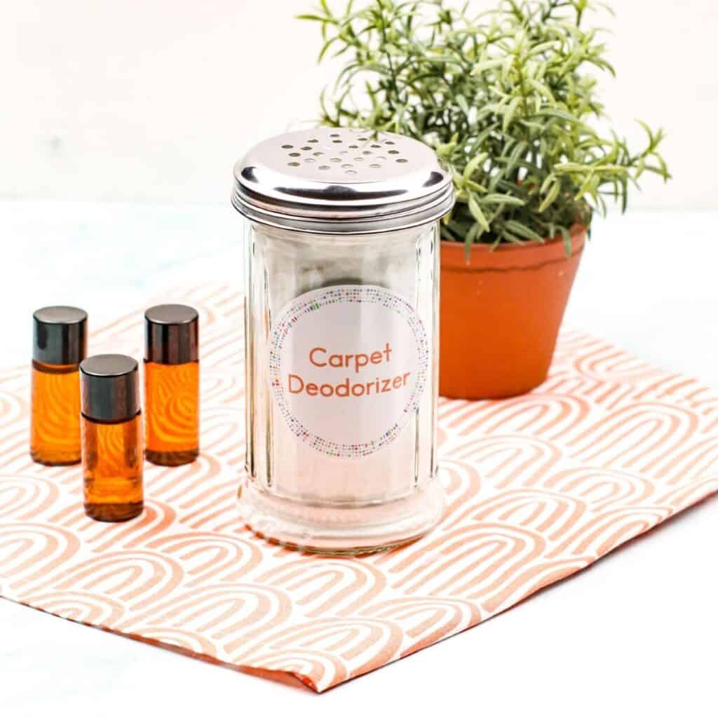 DIY Essential Oil Carpet Deodorizer for Dogs - House that Barks
