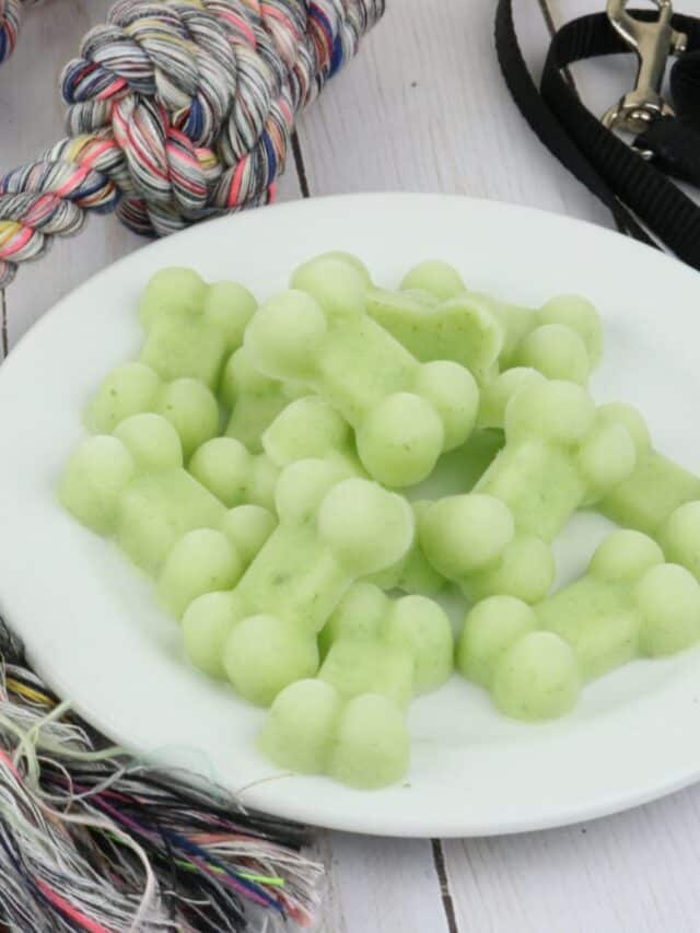 Cucumber Yogurt Frozen Puppy Dog Treats - House that Barks