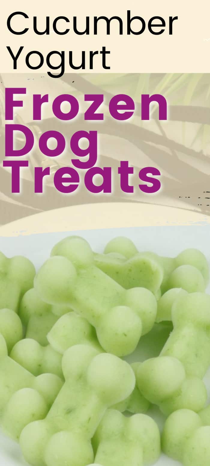 Cucumber Yogurt Frozen Puppy Dog Treats | House That Barks