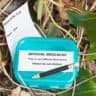 9 Tips for Geocaching with your Dog - House that Barks