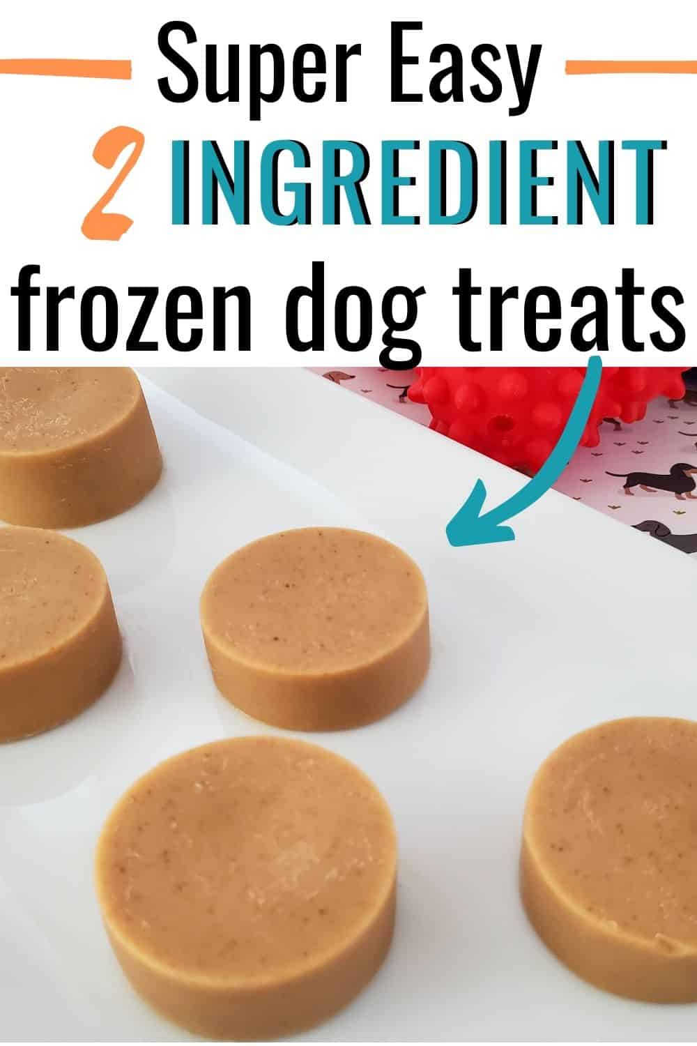 Super Easy 2-Ingredient Frozen Dog Treats - House that Barks