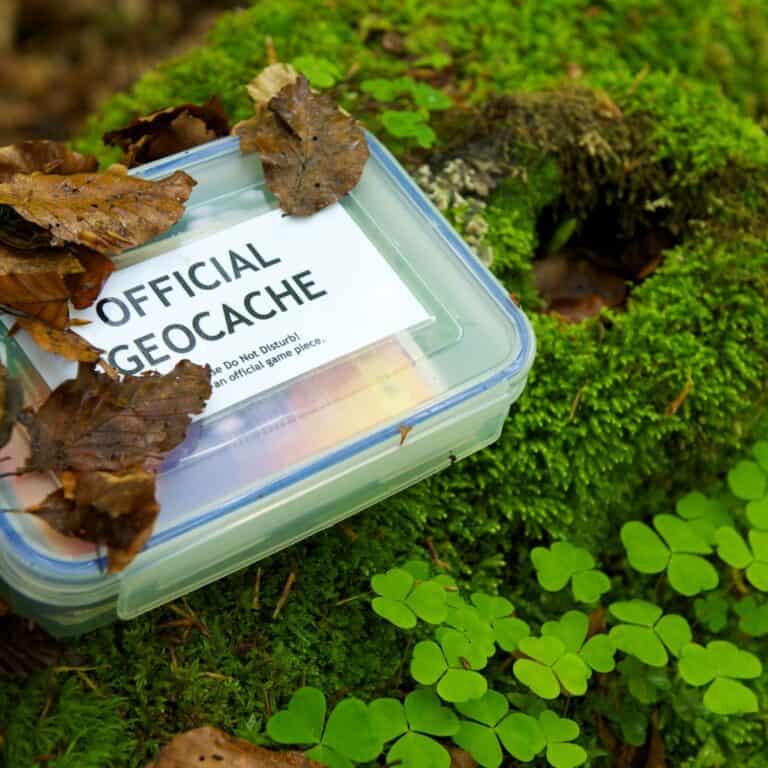 9 Tips for Geocaching with your Dog - House that Barks
