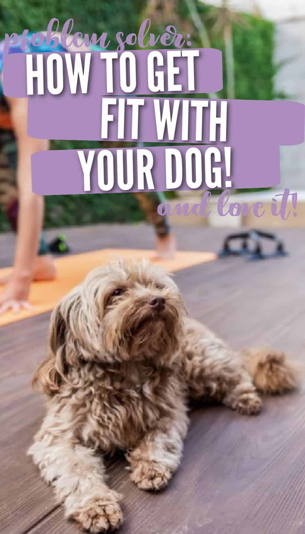 How To Get Fit With Your Dog | House That Barks