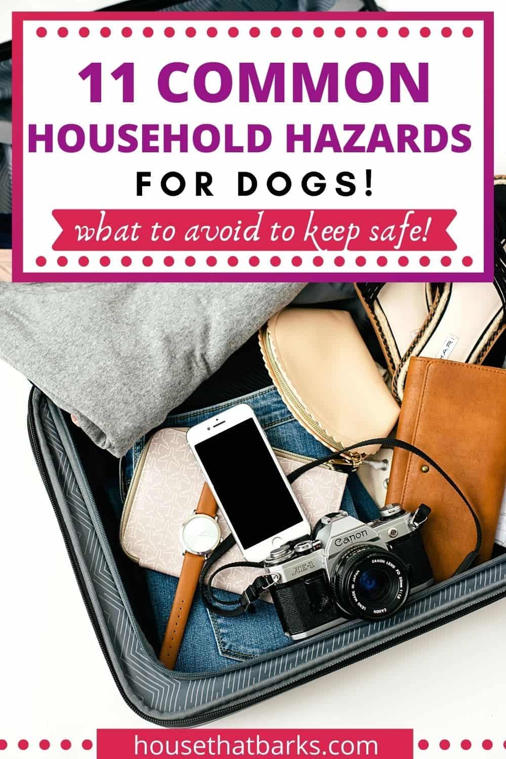 Household Hazards for Dogs - House that Barks